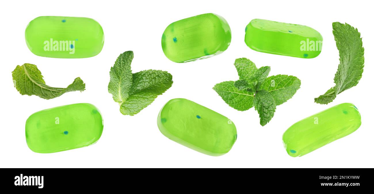 Set of mint hard candies and green leaves on white background. Banner ...