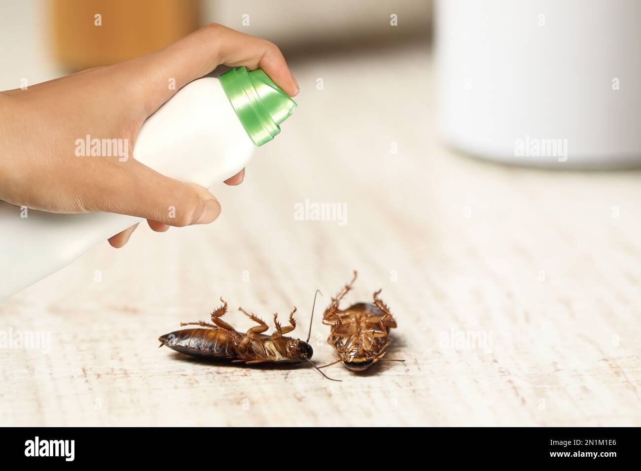Insect killer kitchen hi-res stock photography and images - Alamy