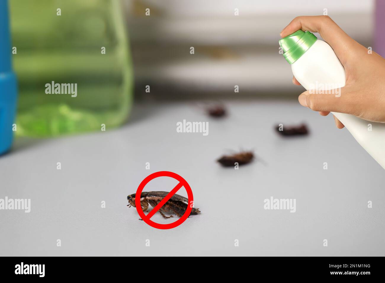 Pest control. Using household insecticide to kill cockroaches at home ...