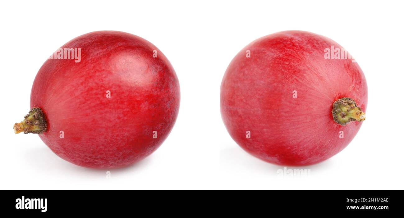 Two fresh ripe grapes on white background Stock Photo - Alamy