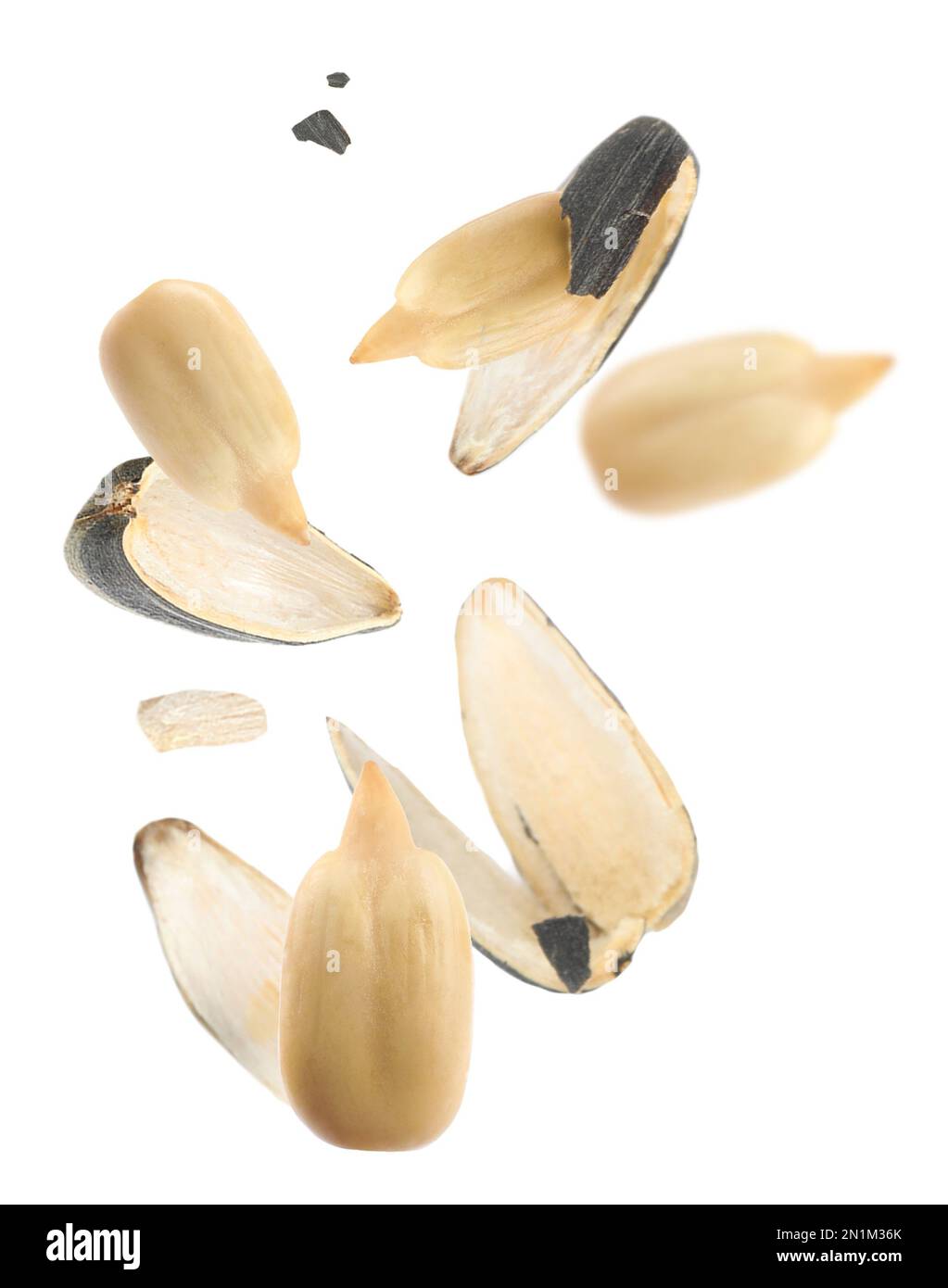 Sunflower seeds with hull flying on white background Stock Photo - Alamy