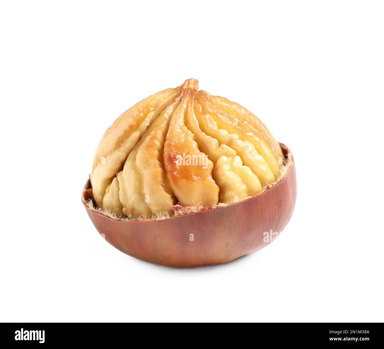 Delicious sweet roasted edible chestnut isolated on white Stock Photo ...