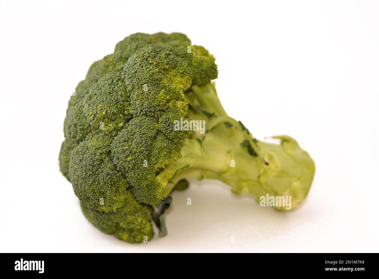 Broccoli (Brassica oleracea var. italica), an edible green plant in the ...