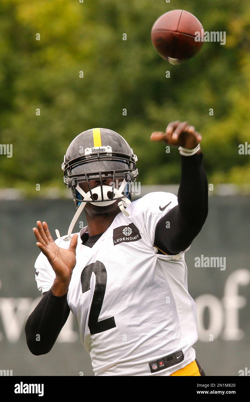 Pittsburgh Steelers quarterback Michael Vick passes during practice for ...