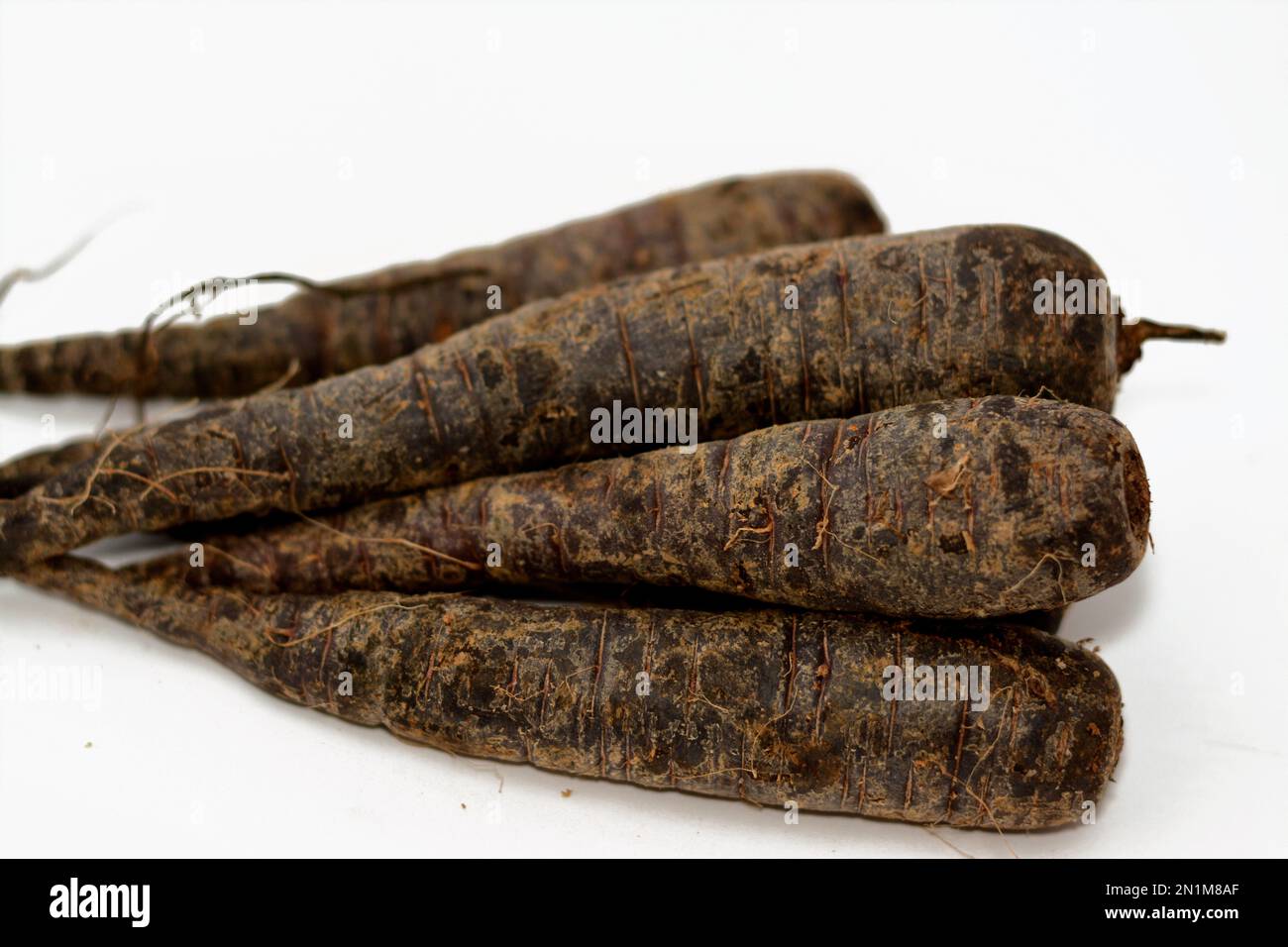 Black carrots, The carrot (Daucus carota subsp. sativus) is a root ...