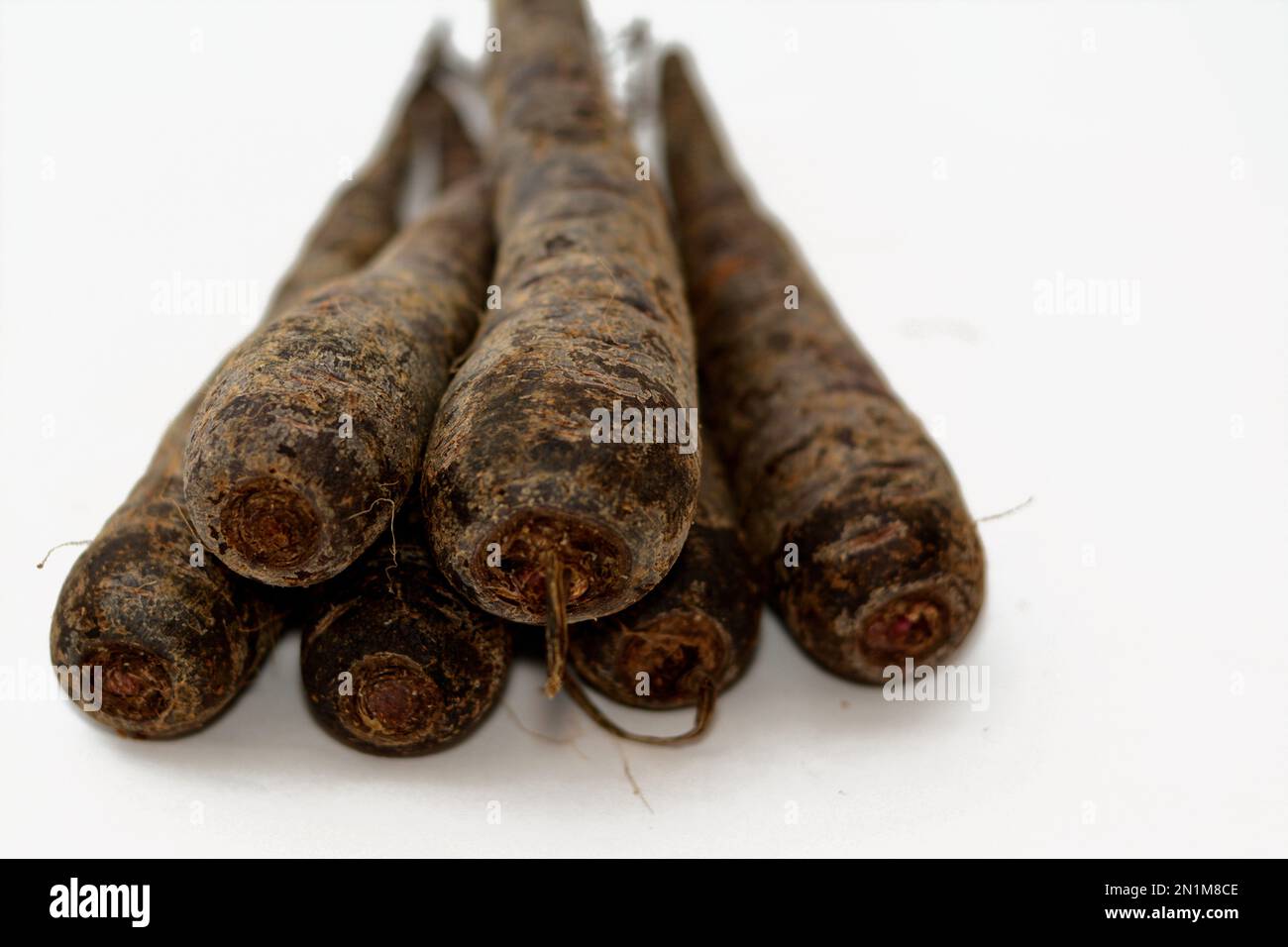 Black carrots, The carrot (Daucus carota subsp. sativus) is a root ...