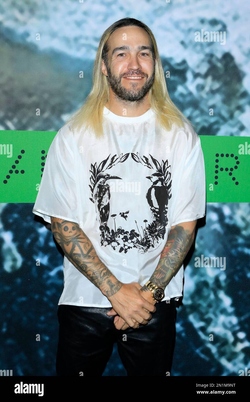 Pete Wentz 2022 Photoshoot