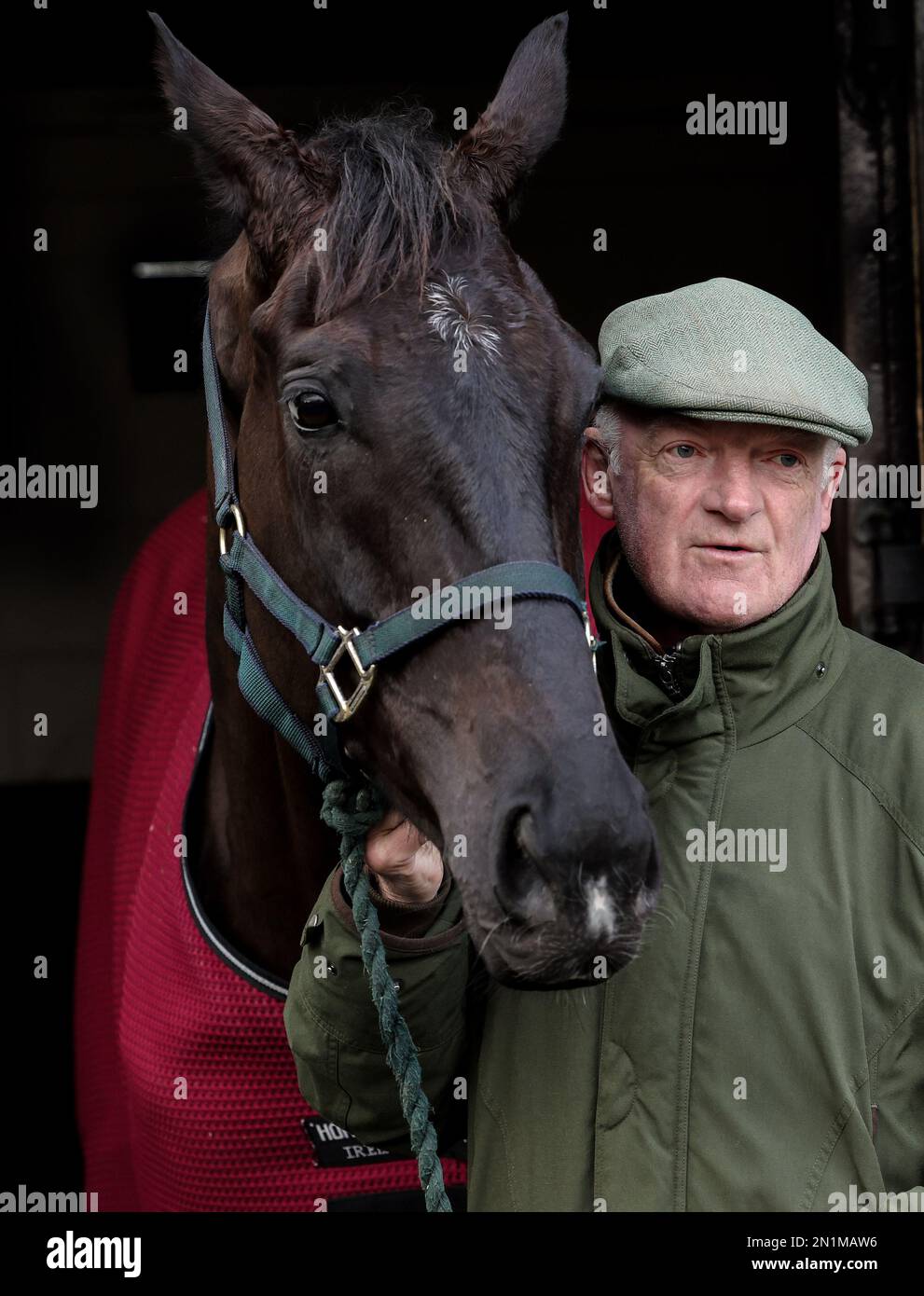 Gallopin des champs hi-res stock photography and images - Alamy