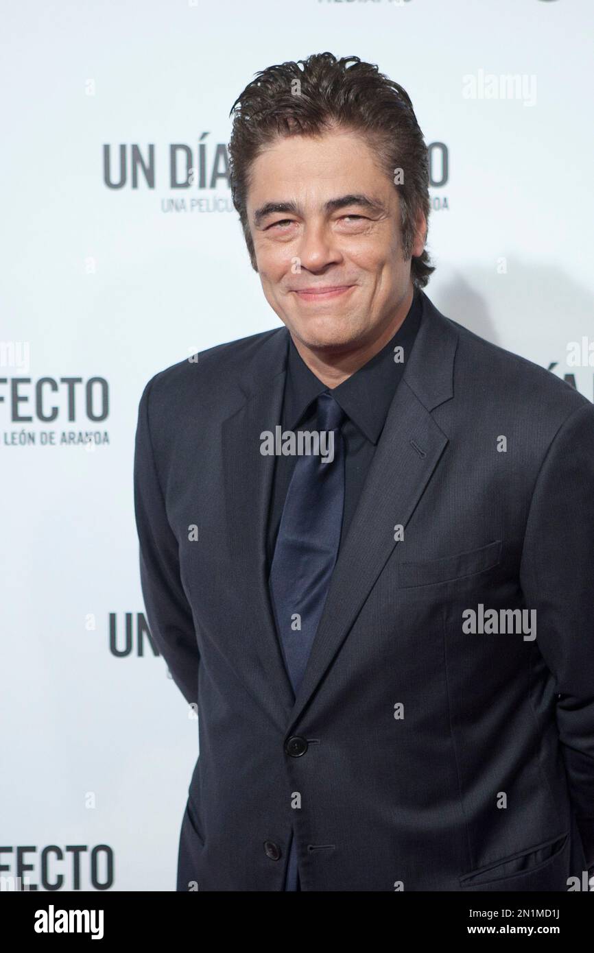 Puerto Rican actor Benicio Del Toro poses for photographers during the ...