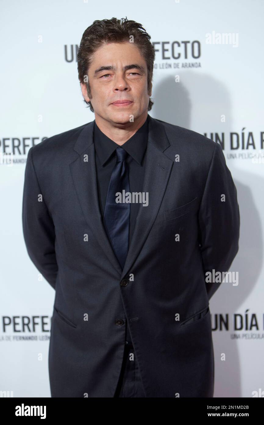 Puerto Rican actor Benicio Del Toro poses for photographers during the ...