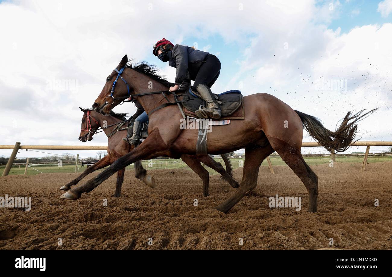 Work Rider Alice McCarthy on Hewick during a visit to Shark Hanlon's ...