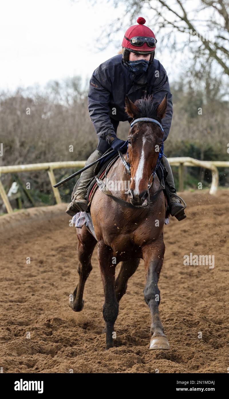 Work Rider Alice McCarthy on Hewick during a visit to Shark Hanlon's ...