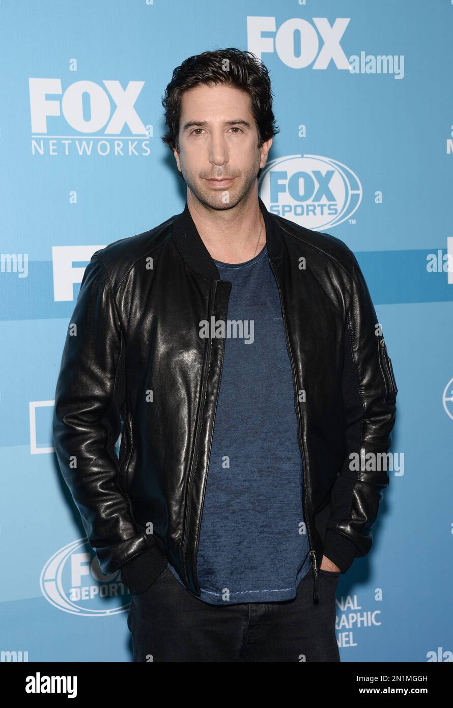 David Schwimmer arrives at the Fox Network 2015 Programming Upfront at Wollman Rink in Central ...