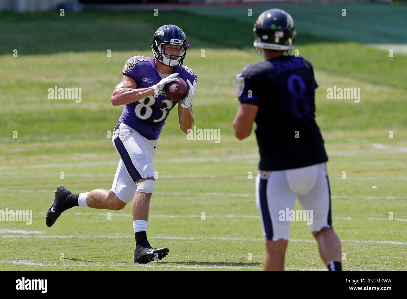 Baltimore Ravens wide receiver Daniel Brown (83) catches a pass from ...
