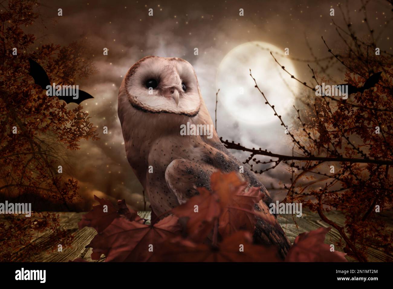 Owl in autumn forest with bats on full moon night Stock Photo - Alamy