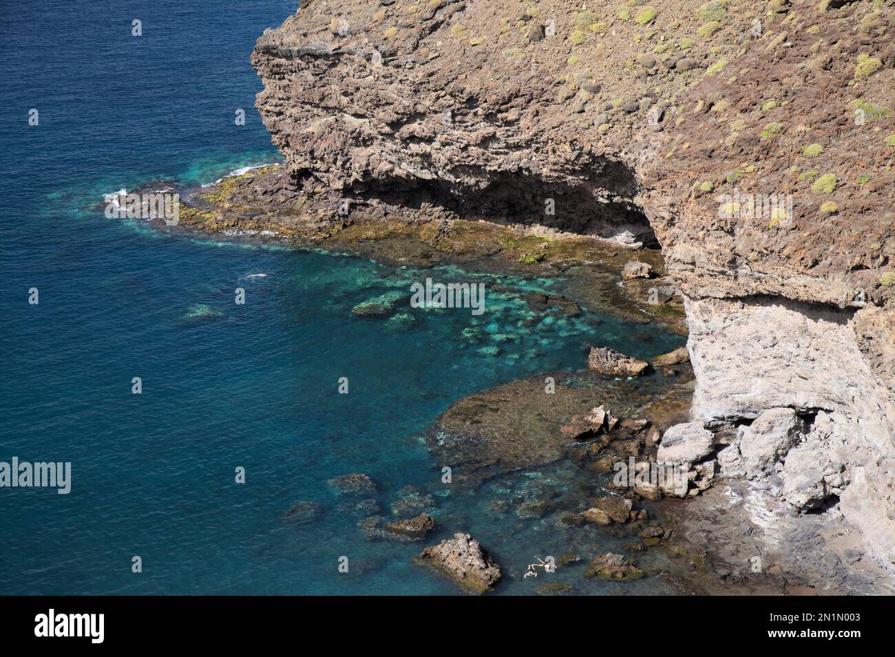 Cola de dragón hi-res stock photography and images - Alamy