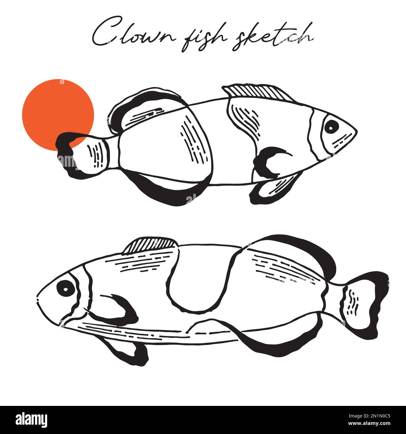 Clownfish Coloring Page
