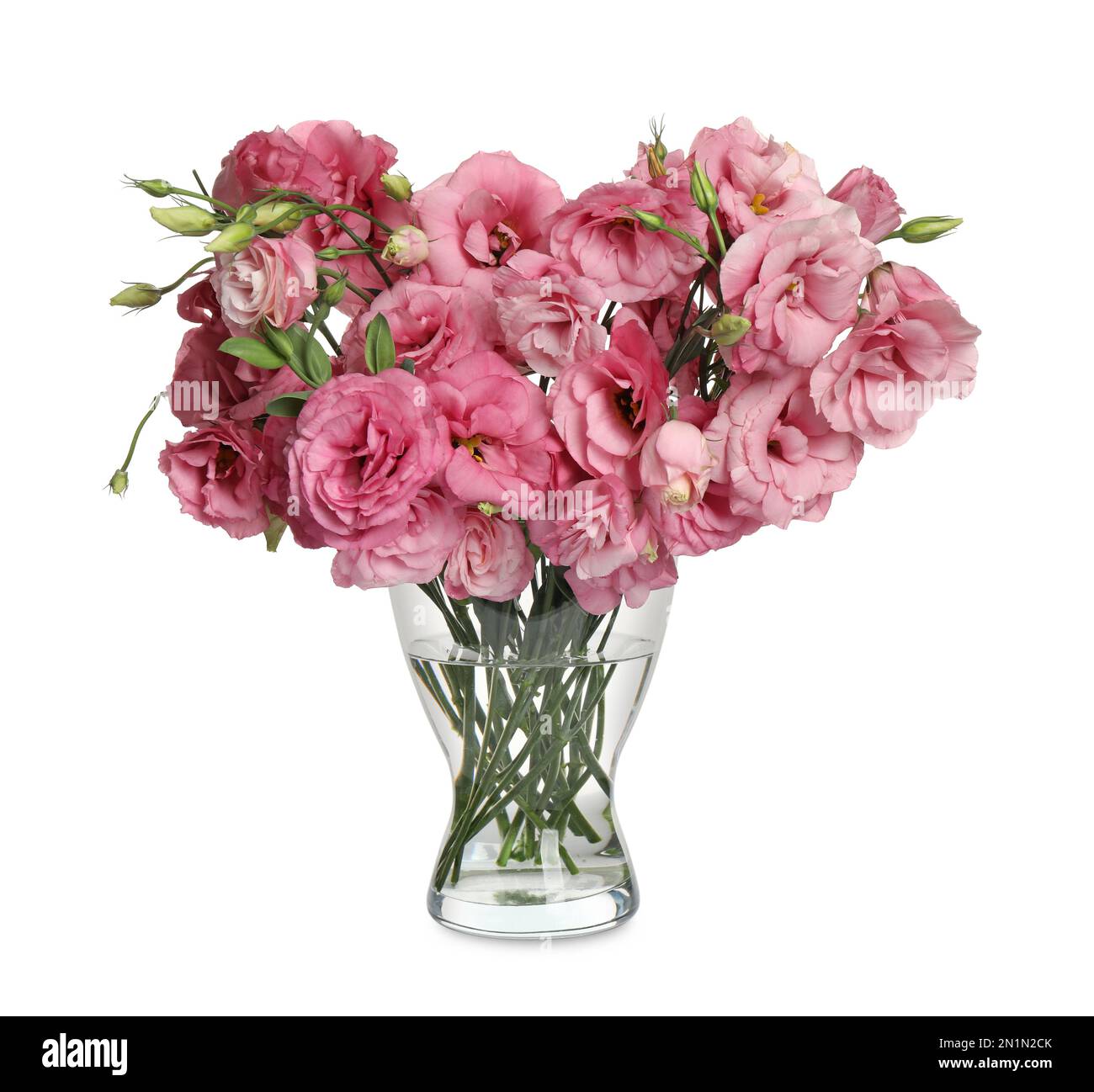 Pink eustoma in beautiful hi-res stock photography and images - Alamy
