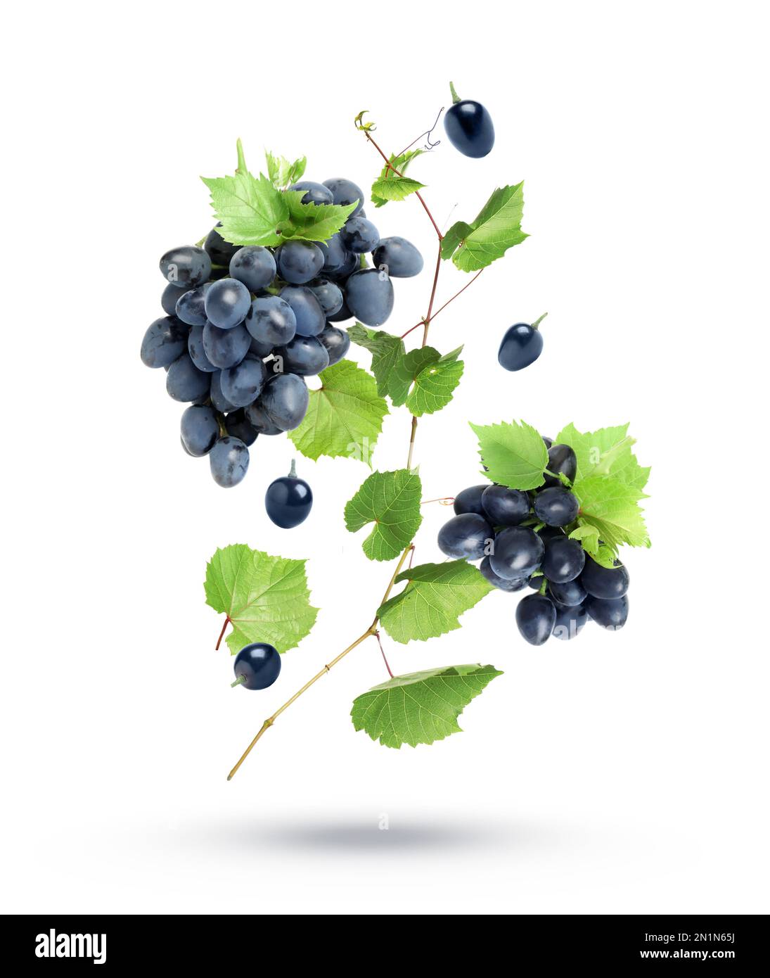 Fresh ripe grapes with green leaves falling on white background Stock ...