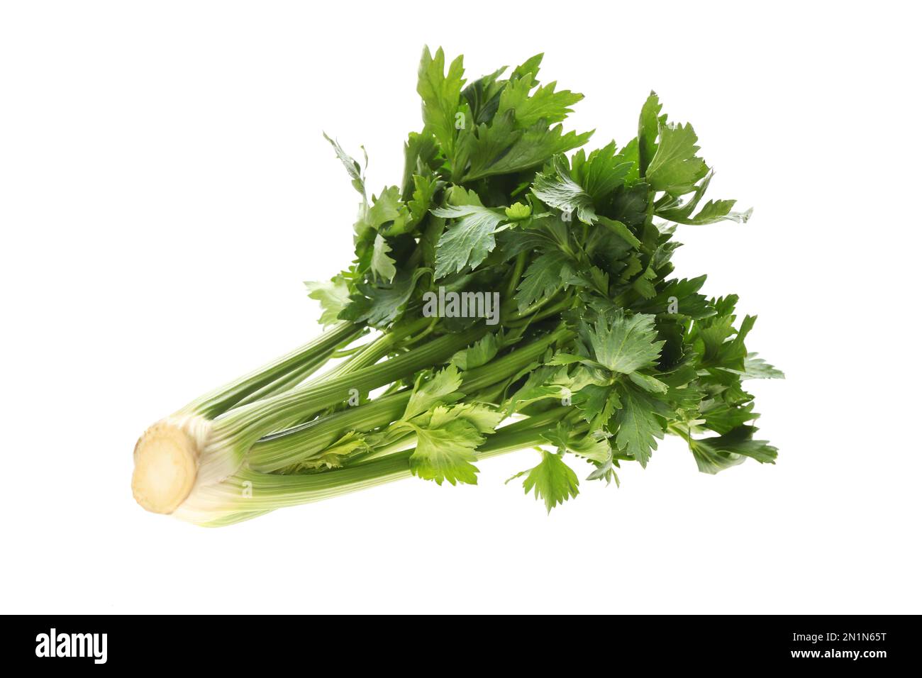 Petiole celery hi-res stock photography and images - Alamy