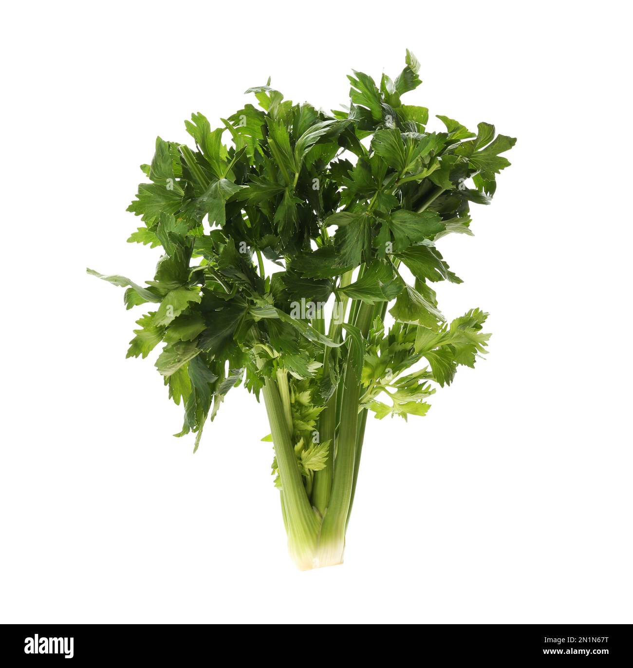 Fresh green celery bunch isolated on white Stock Photo - Alamy