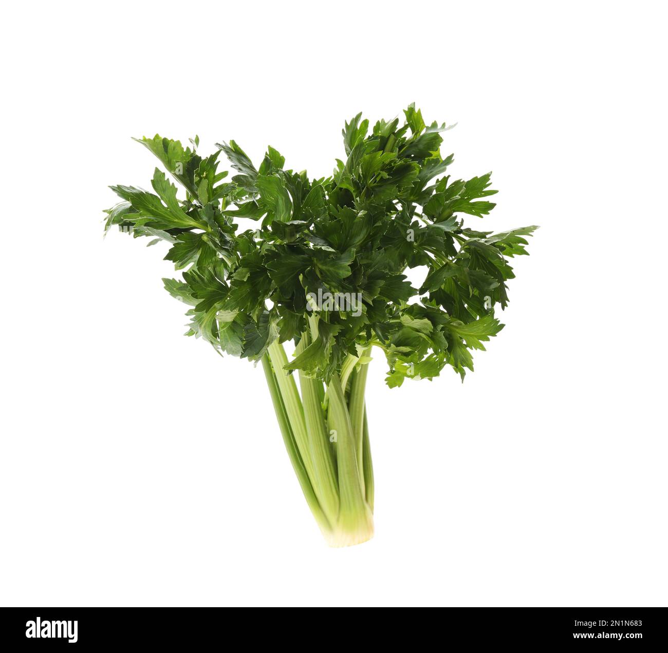 Petiole celery hi-res stock photography and images - Alamy