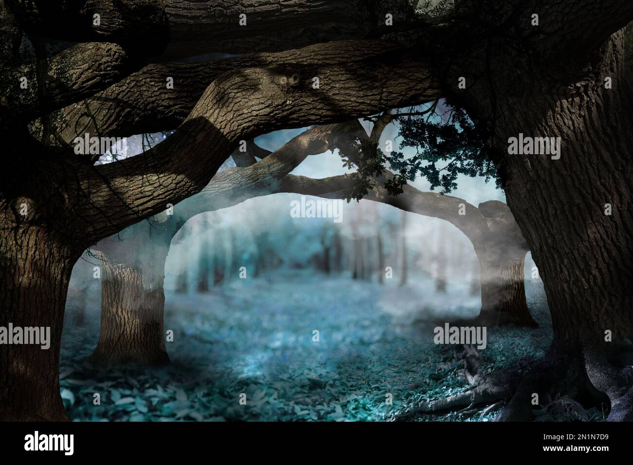 Fantasy world. Arch of old tree branches in enchanted foggy forest ...