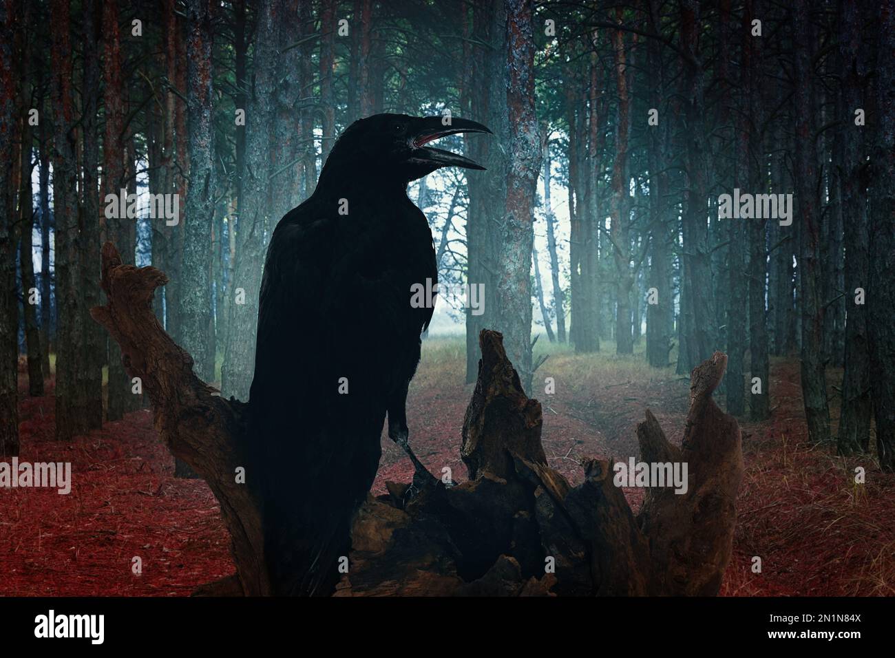 Black crow croaking in forest. Fantasy world Stock Photo - Alamy