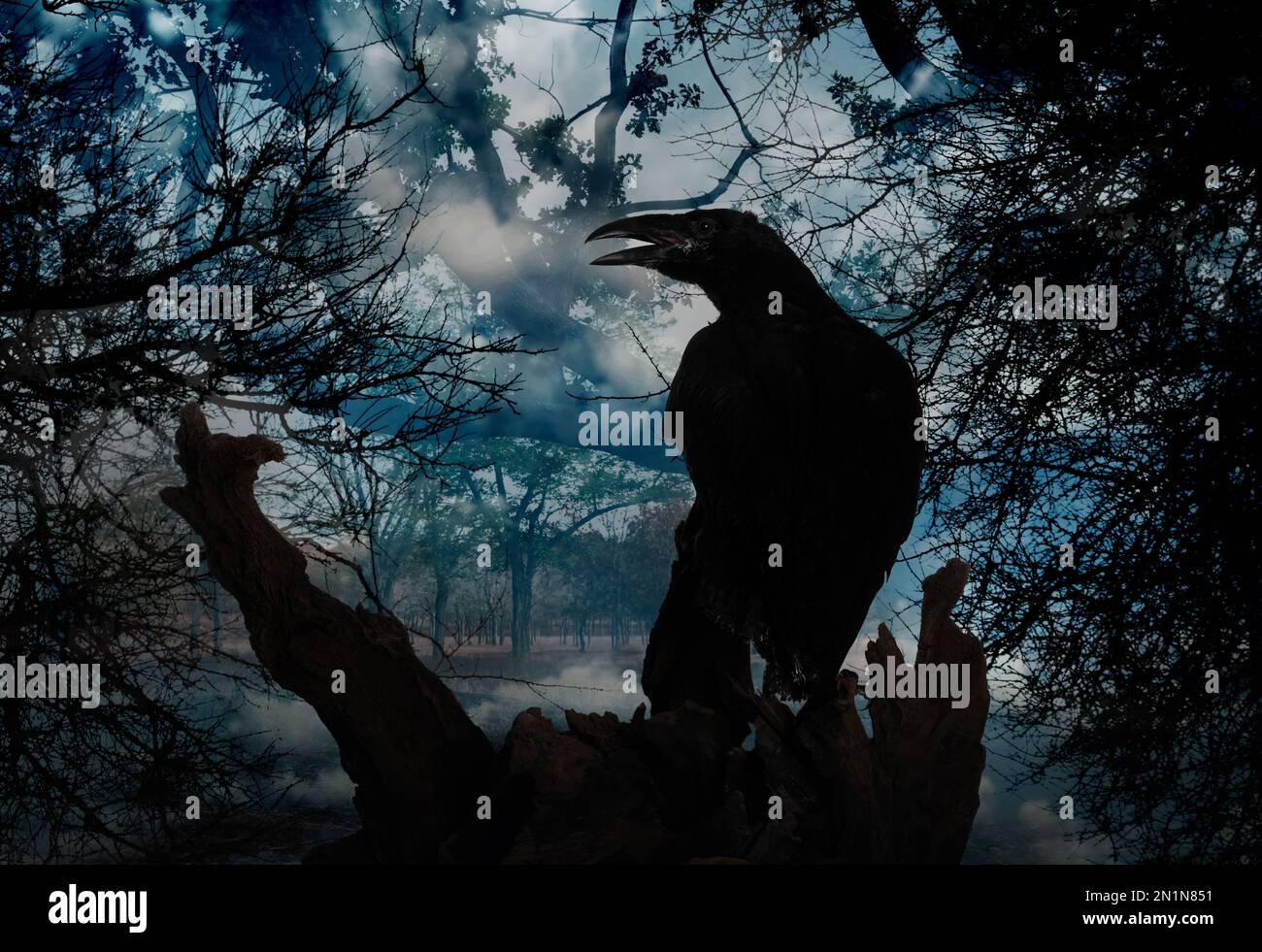 Black crow sitting on old tree in misty forest. Fantasy world Stock ...