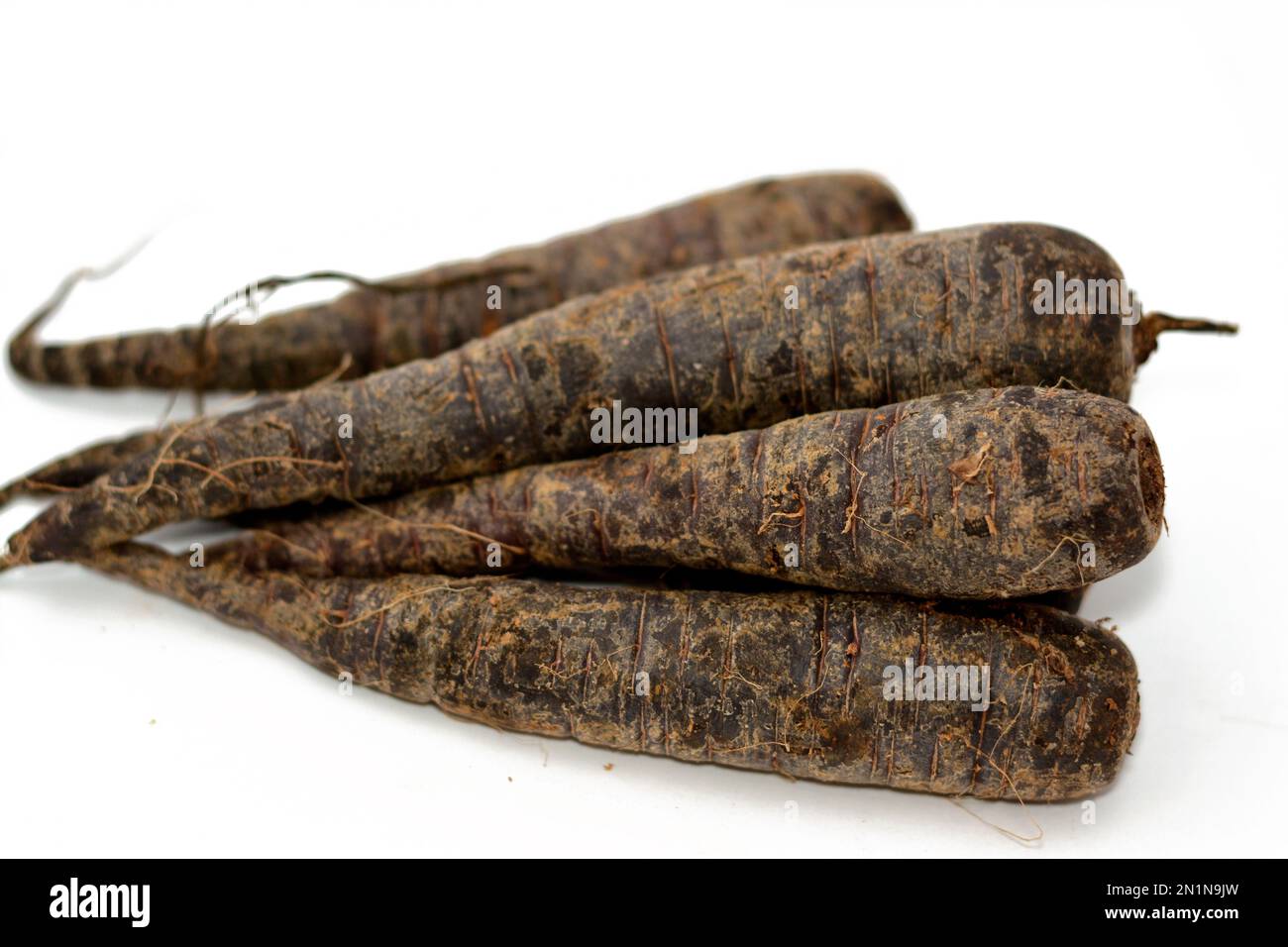 Black carrots, The carrot (Daucus carota subsp. sativus) is a root ...