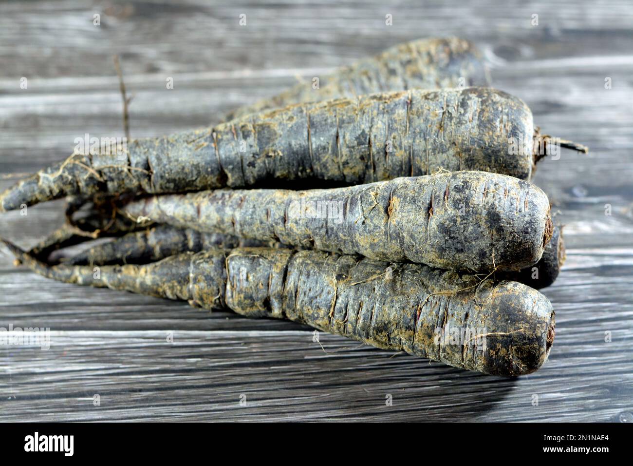 Black carrots, The carrot (Daucus carota subsp. sativus) is a root ...