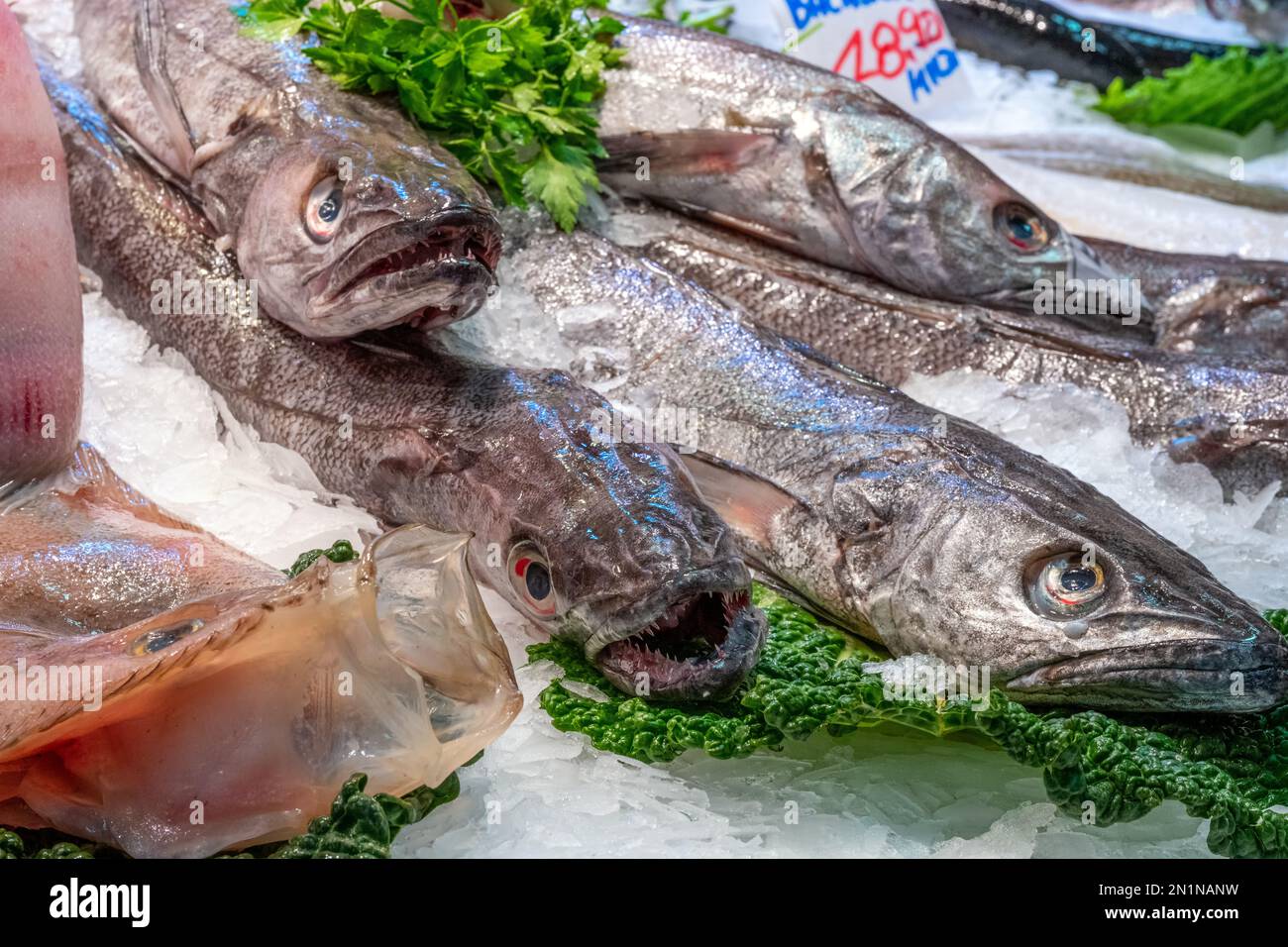 Fresh fish for sale at a market in Barcelona, Spain Stock Photo - Alamy