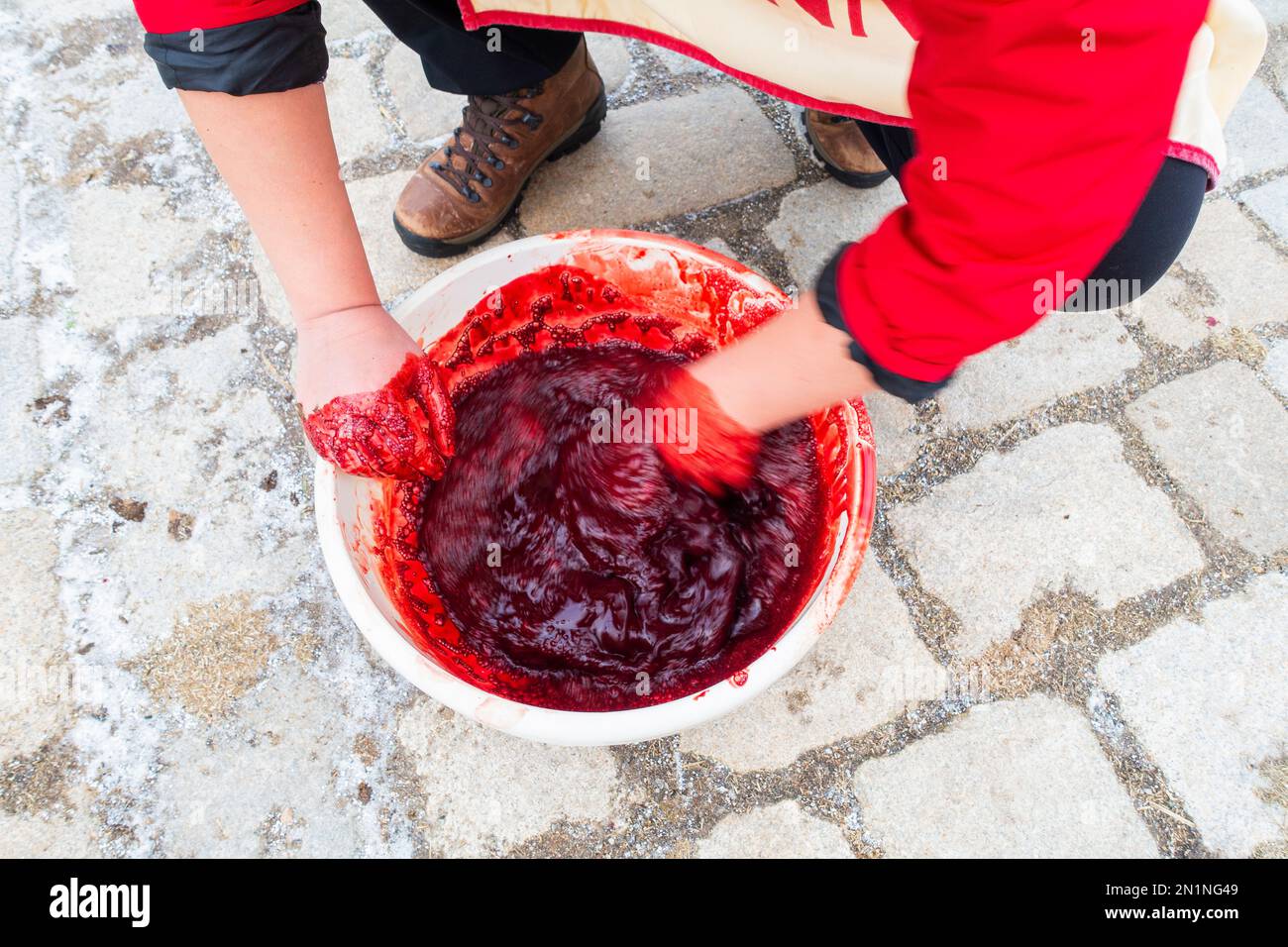 Traditional hog-killing time in Czech Republic on February 4, 2023 ...