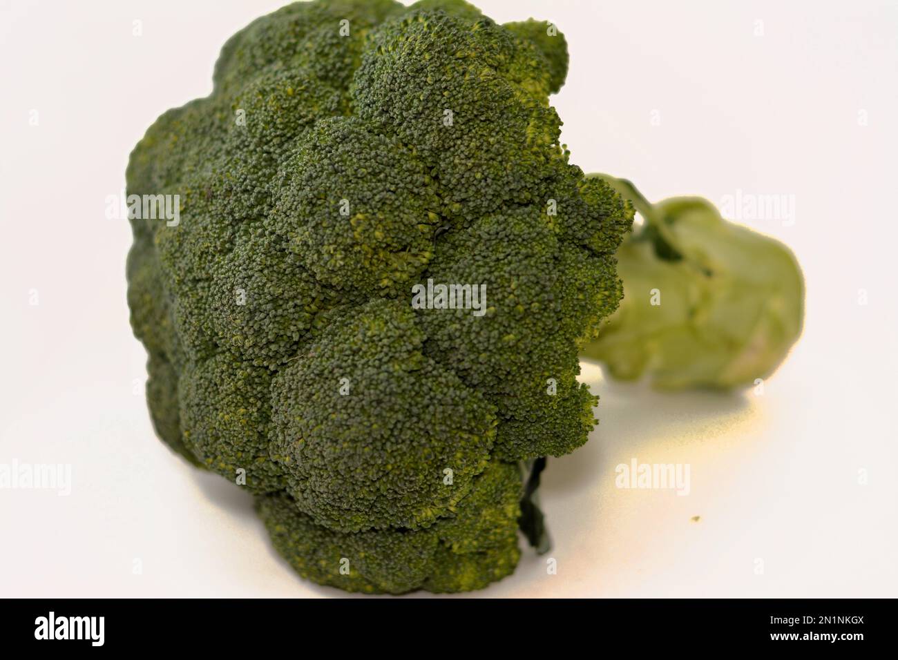 Broccoli (Brassica oleracea var. italica), an edible green plant in the ...