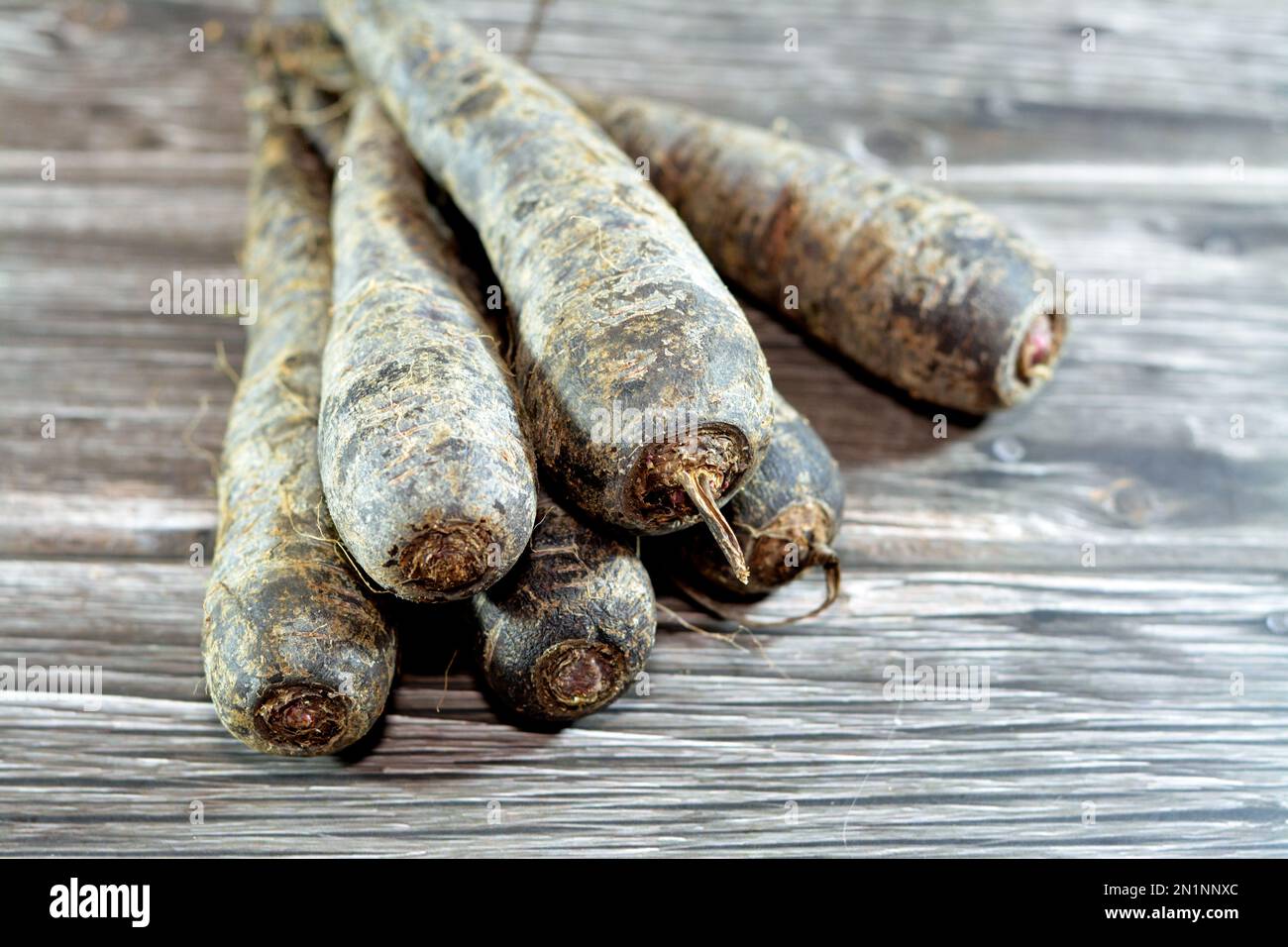 Black carrots, The carrot (Daucus carota subsp. sativus) is a root ...