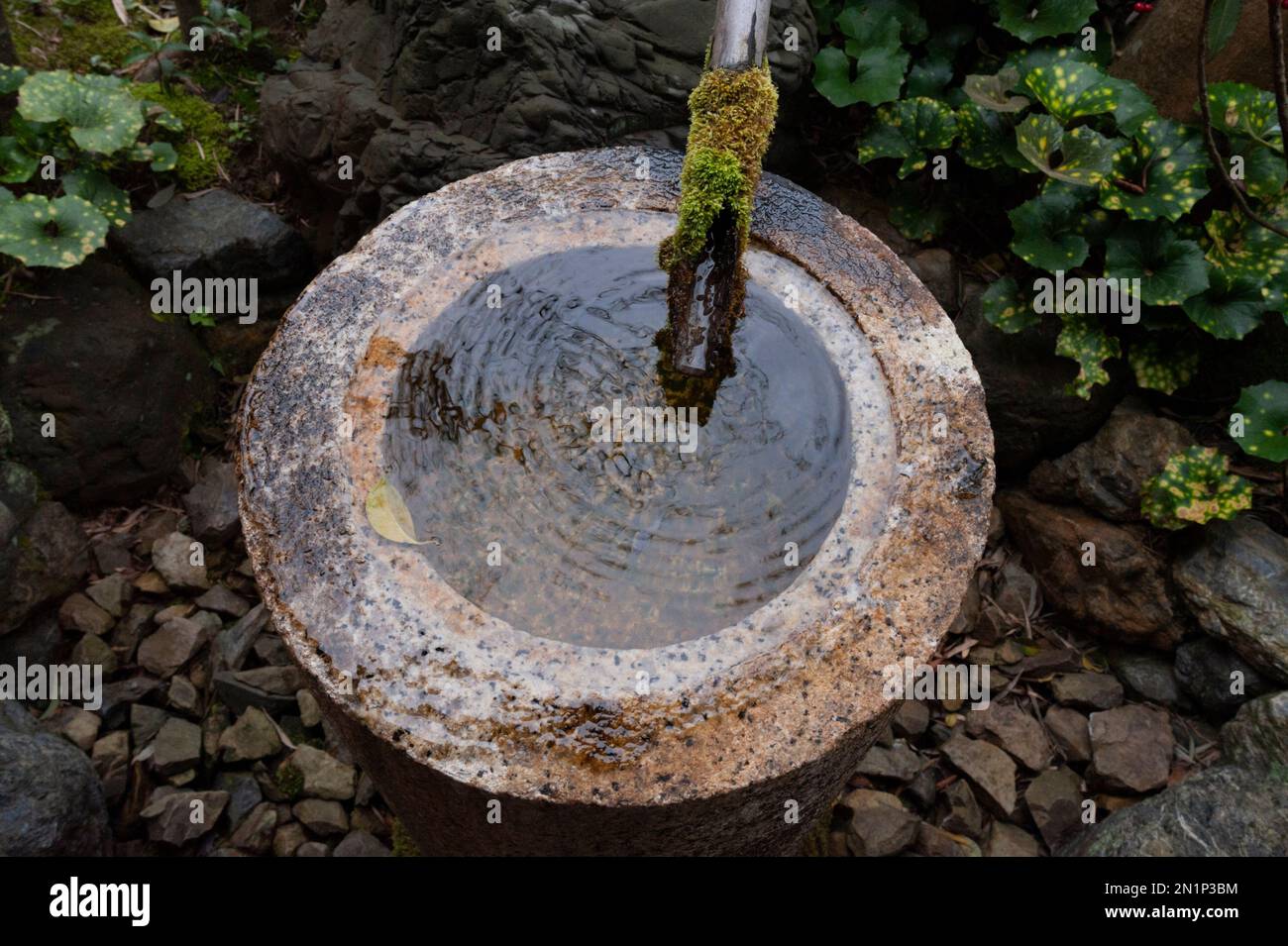 Myoshinji temple and gardens hi-res stock photography and images - Alamy