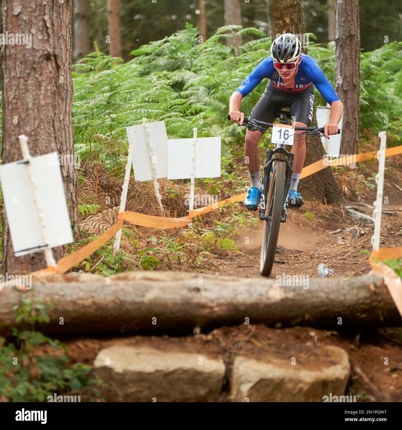 Commonwealth Games 2022, Cannock Chase UK Stock Photo - Alamy