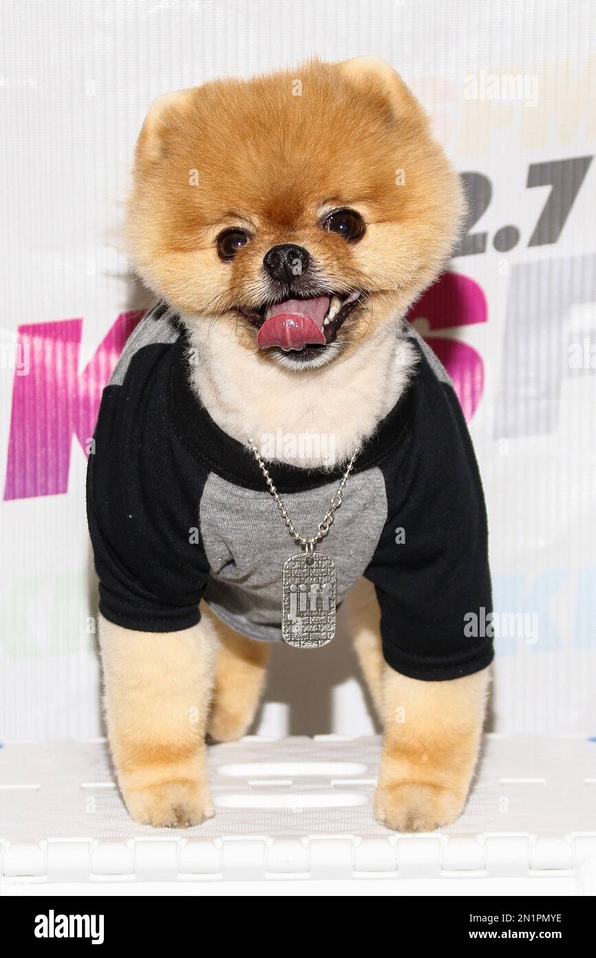 Jiff Pom attends the 102.7 KIIS FM's Teen Choice Pre-Party and Gifting Suite held at the W Hotel ...