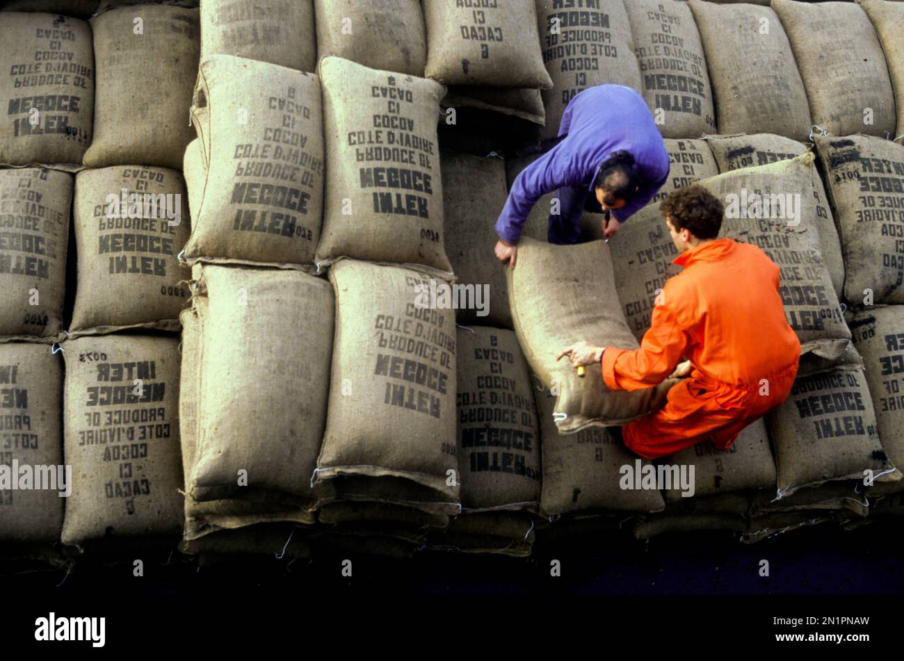 Netherlands; Unloading a shipment of cocoa coming from the Ivory Coast ...
