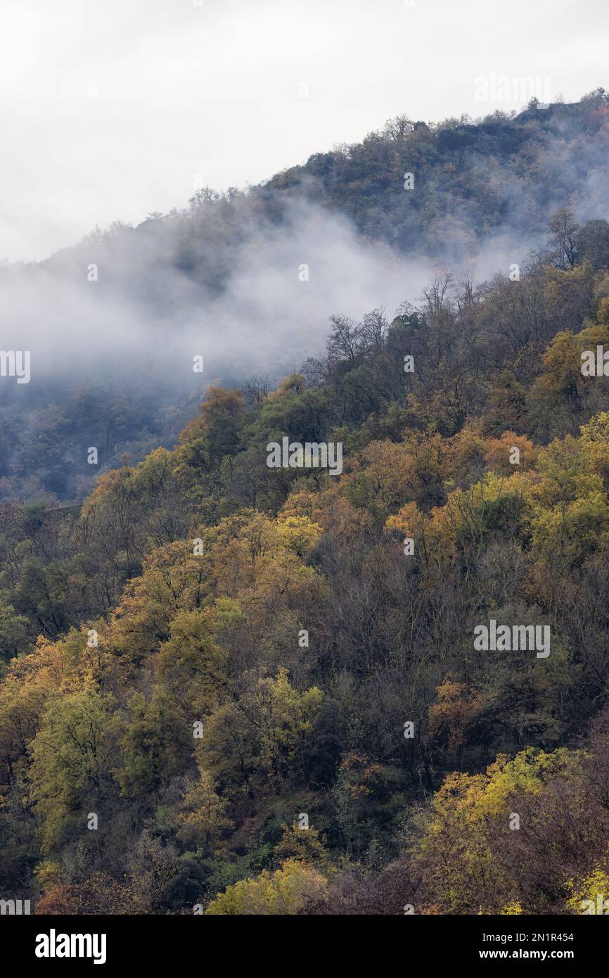 Colorful Trees on the Mountain during Fall Season. France, Europe ...