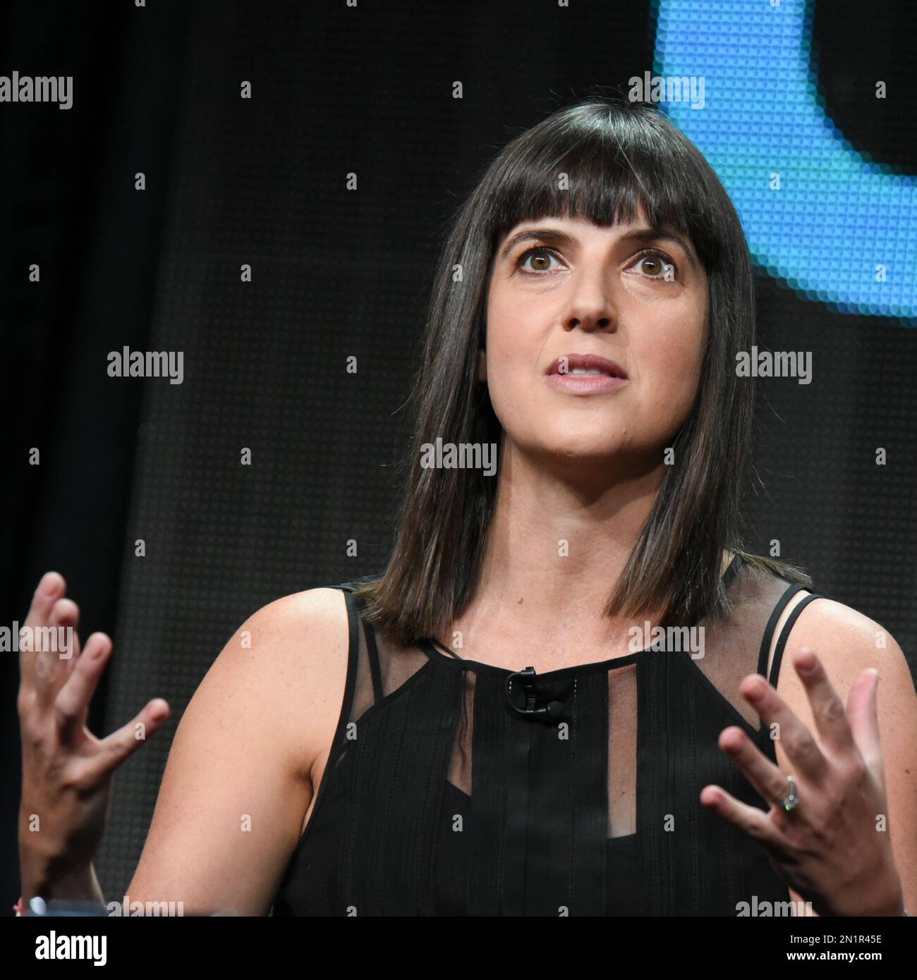 Executive producer Angie Day participates in the "donny!" panel at the ...