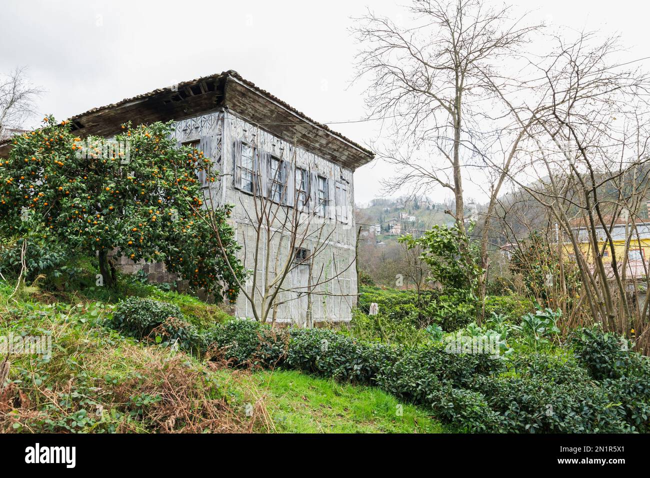 Rural landscape of Surmene town, Trabzon, Turkey. Old abandoned houses ...