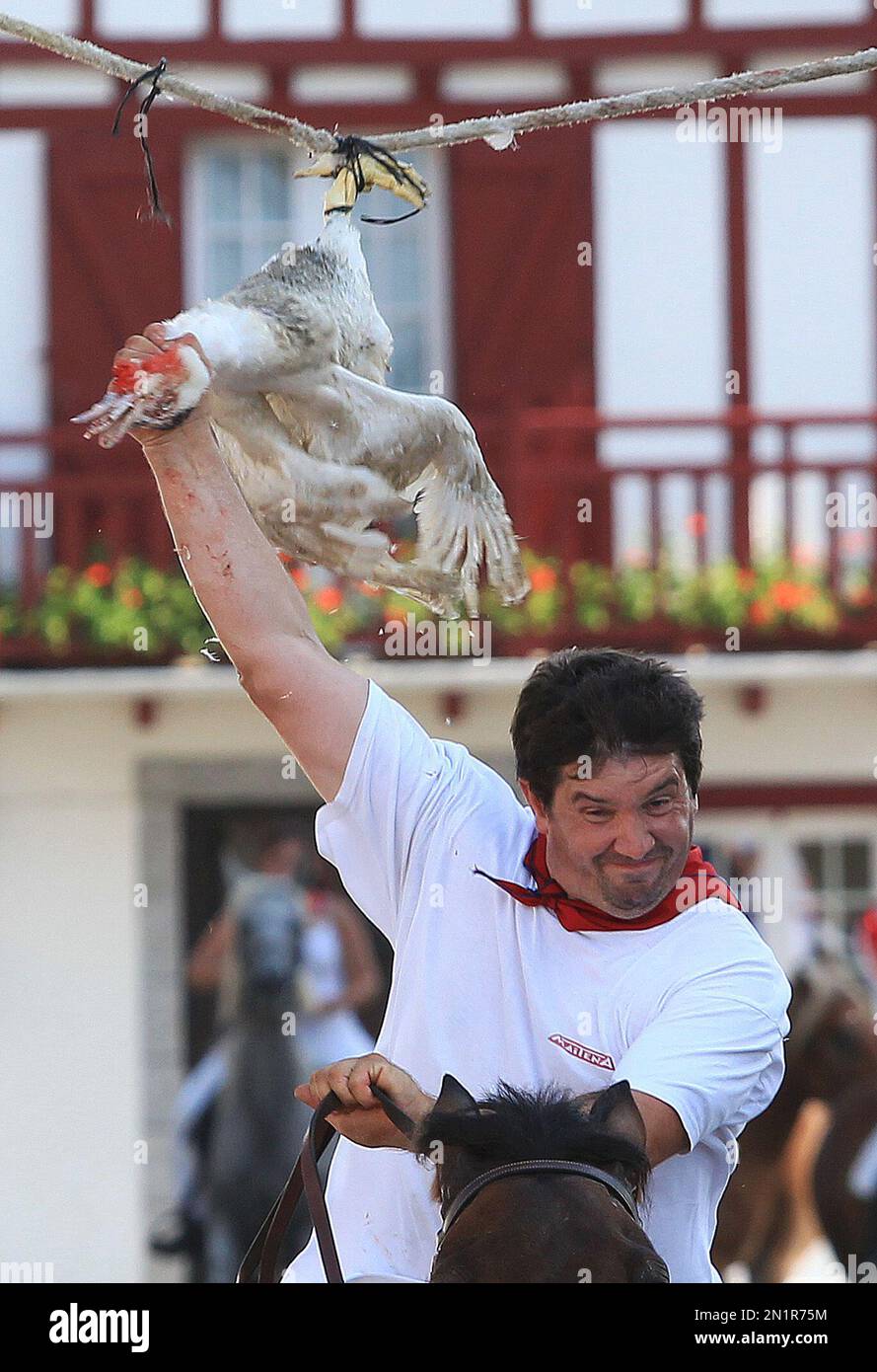 A rider grabs the neck of a dead goose hanging from a rope in the ...