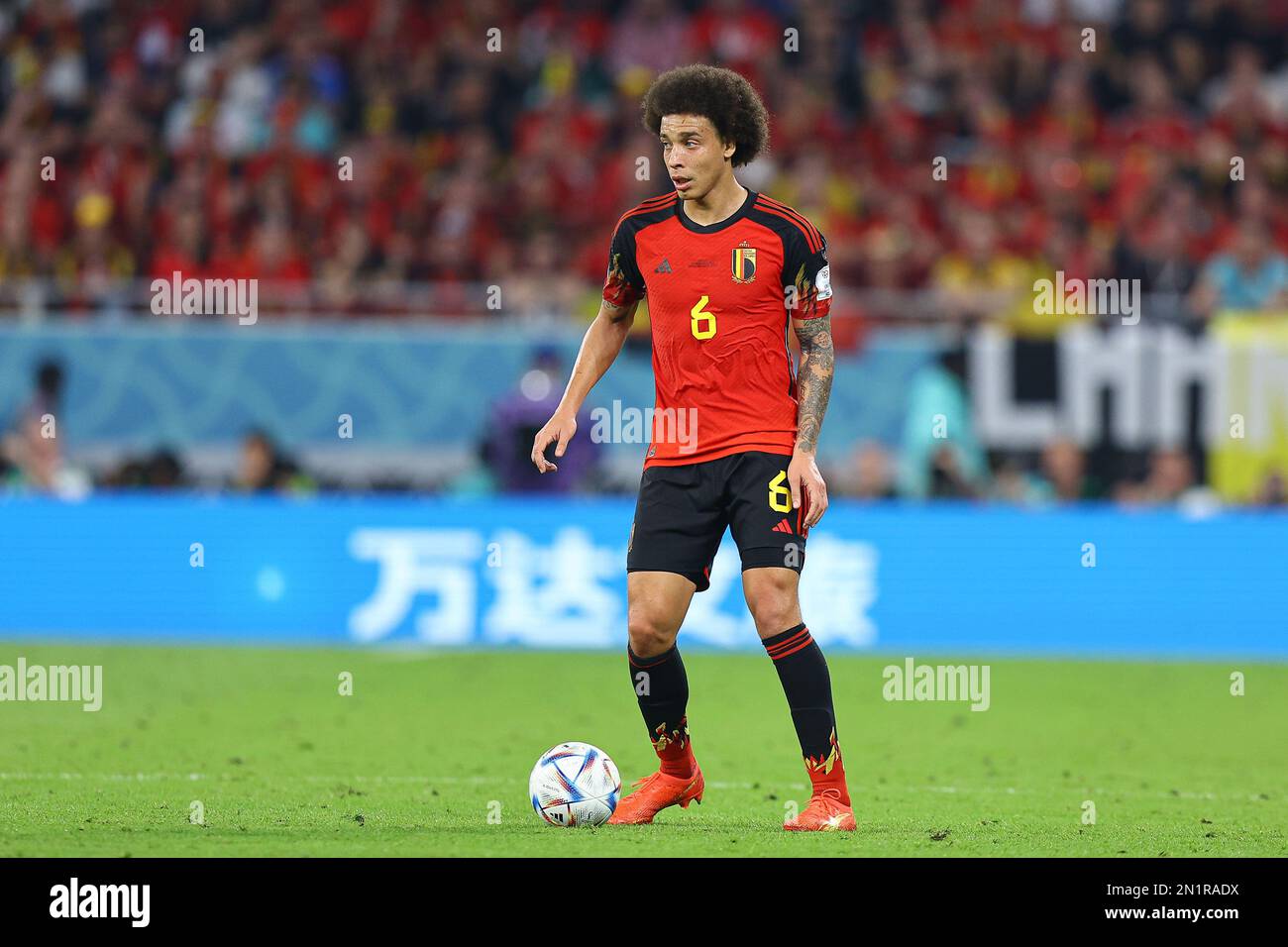 DOHA, QATAR - NOVEMBER 23: Axel Witsel during the FIFA World Cup Qatar ...