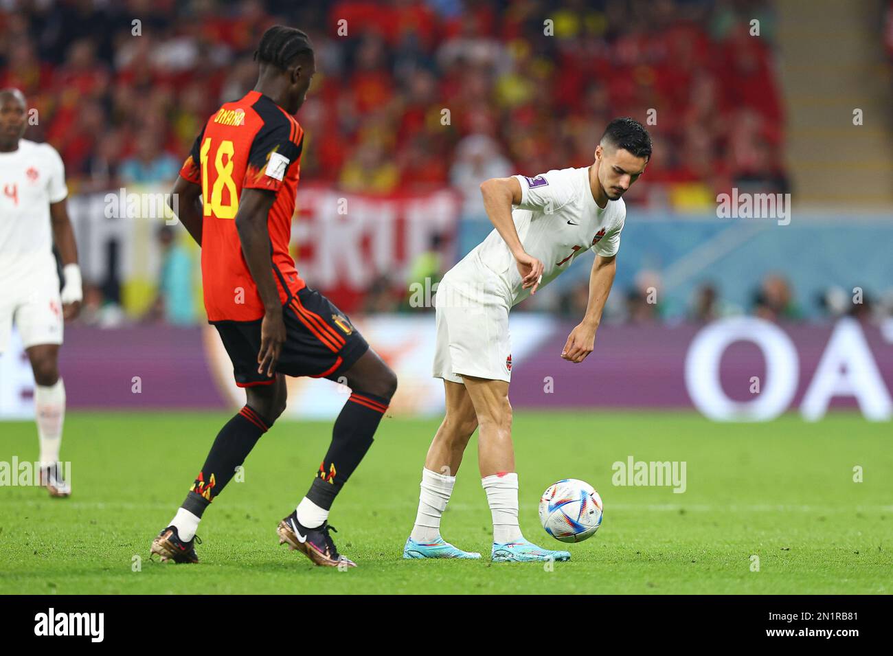 DOHA, QATAR - NOVEMBER 23: Amadou Onana, Stephen Eustaquio during the ...