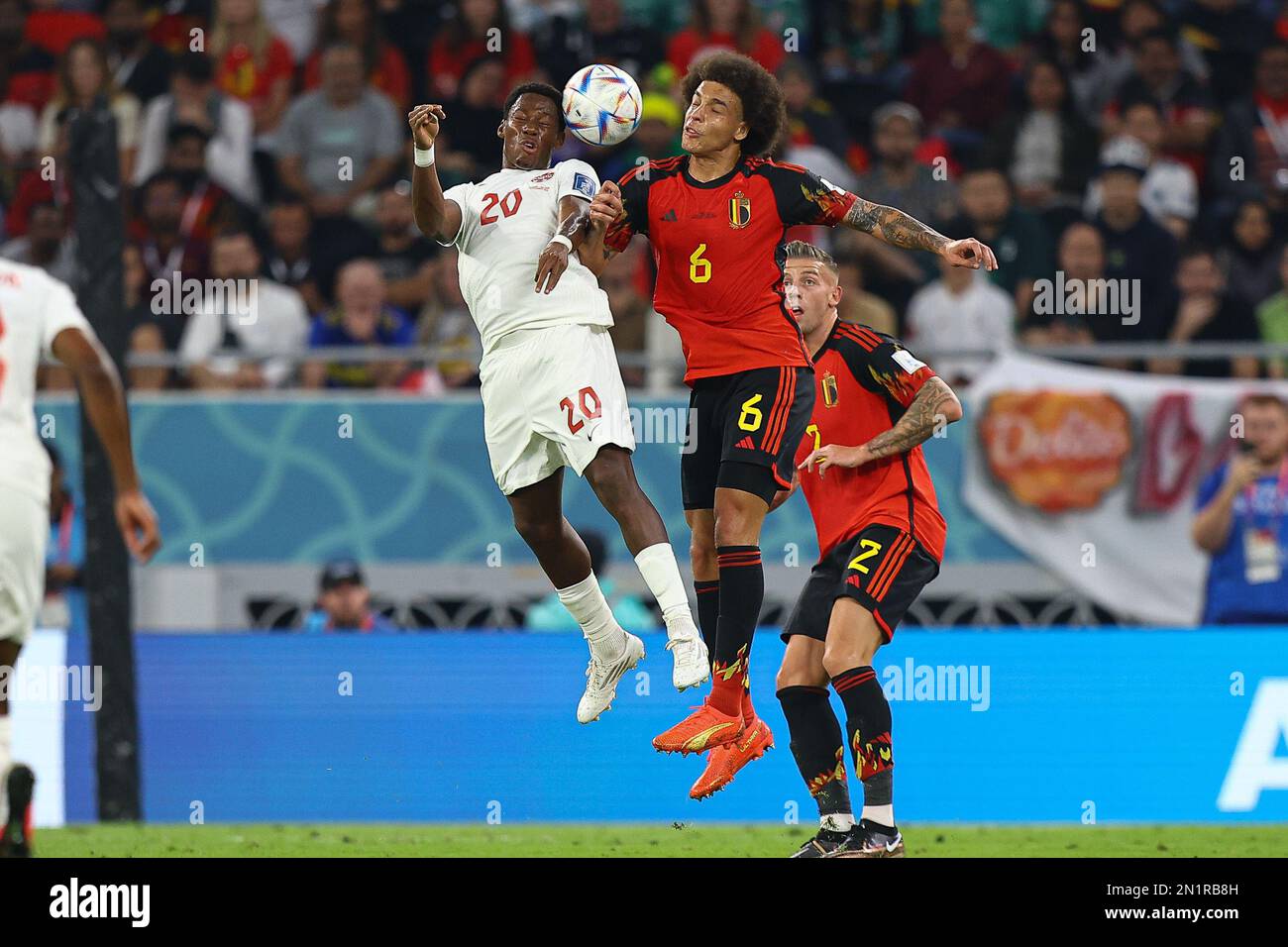 DOHA, QATAR - NOVEMBER 23: Jonathan David, Axel Witsel during the FIFA ...