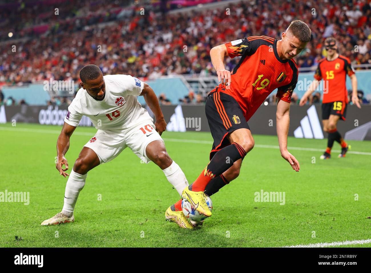 DOHA, QATAR - NOVEMBER 23: Junior Hoilett, Leander Dendoncker during ...