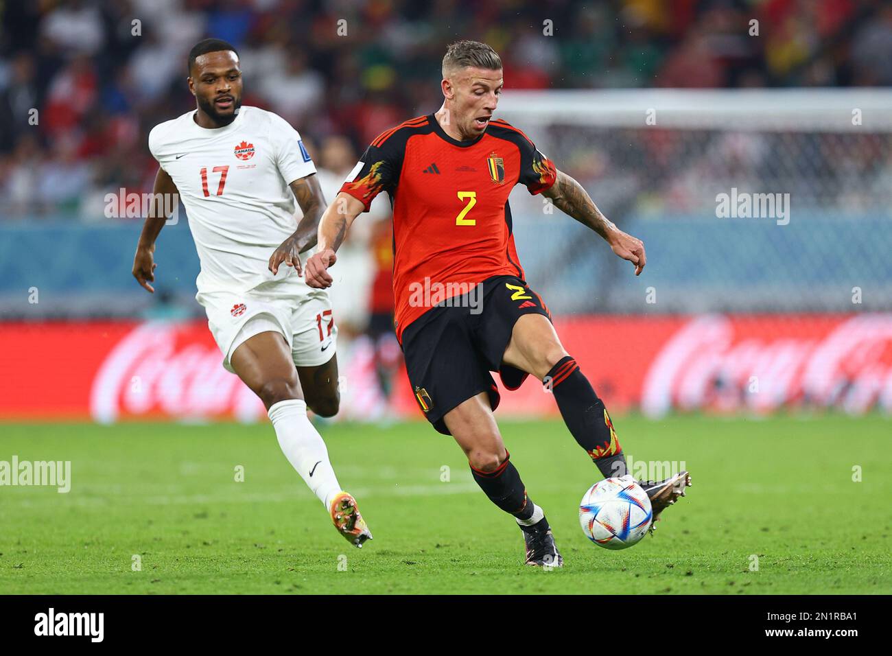DOHA, QATAR - NOVEMBER 23: Toby Alderweireld during the FIFA World Cup ...