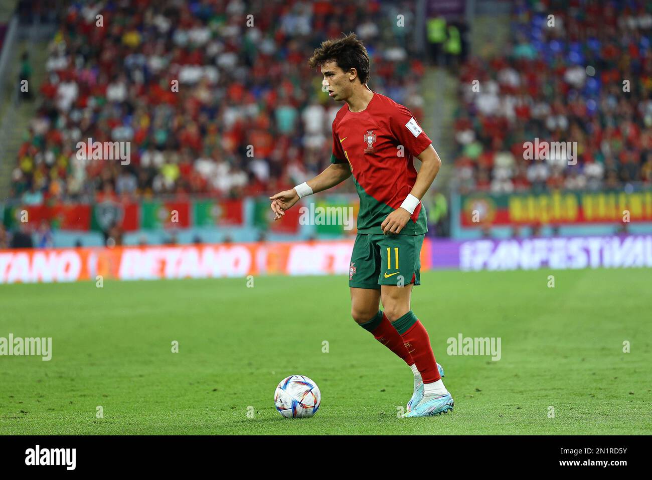 DOHA, QATAR - NOVEMBER 24: Joao Felix during the FIFA World Cup Qatar ...