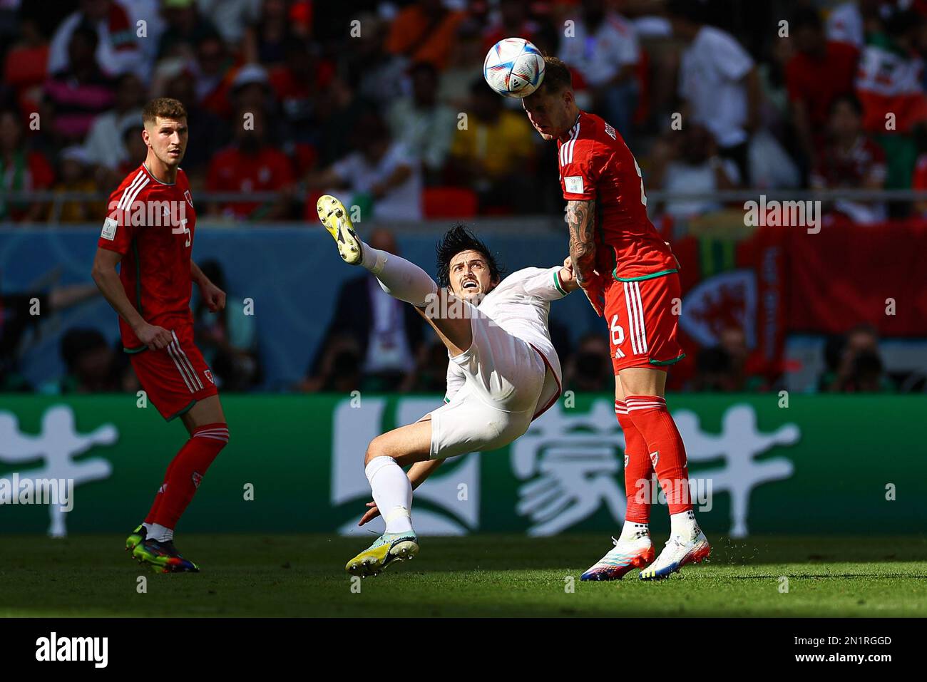 DOHA, QATAR - NOVEMBER 25: Joe Rodon during the FIFA World Cup Qatar ...